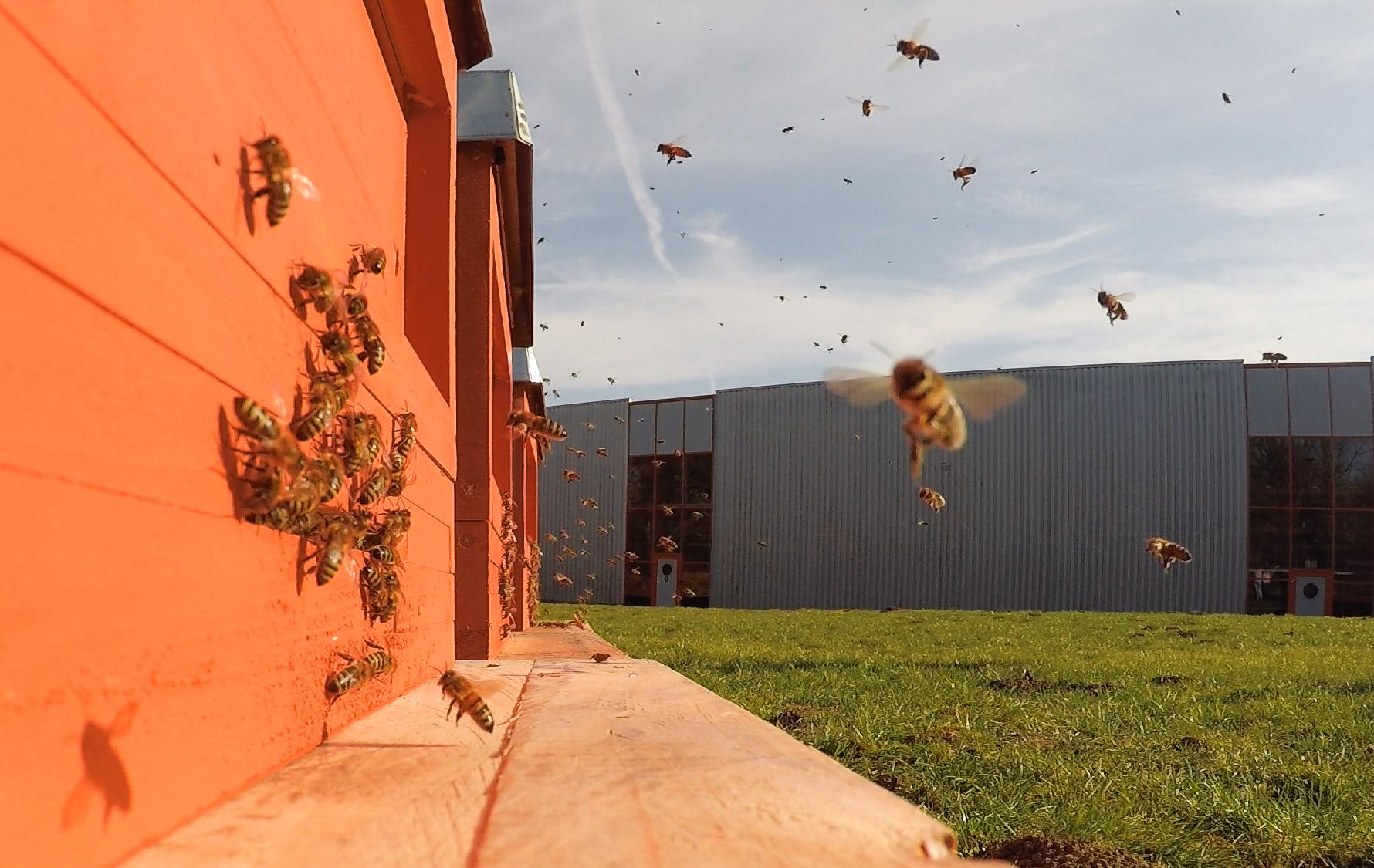 🔍 OBO Blick: Aktuelle Einblicke & Innovationen | OBO